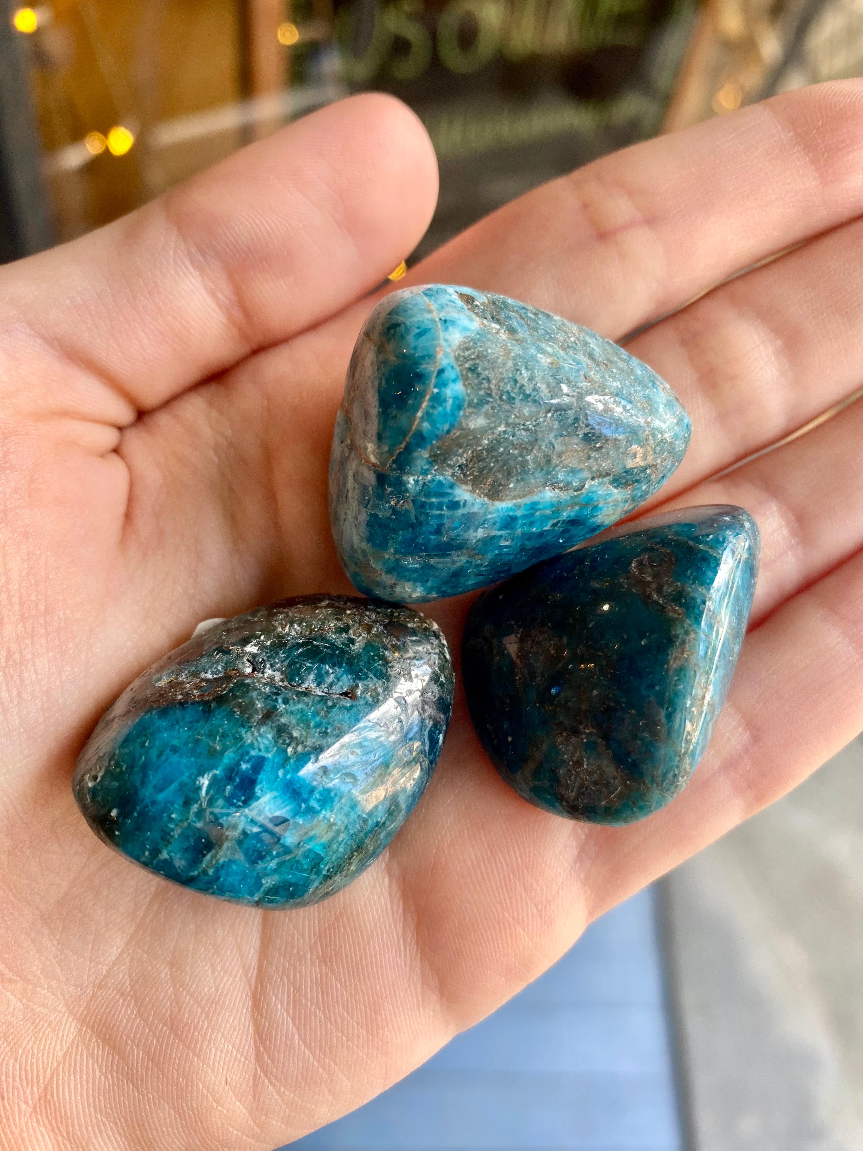 Large Tumbled Apatite – Little Blueberryy